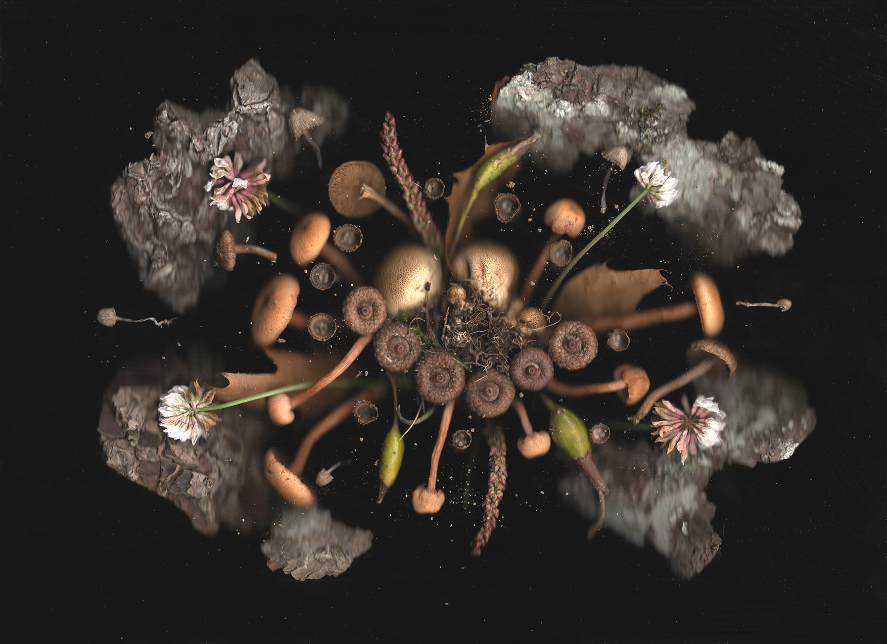 Elma October 2024 web