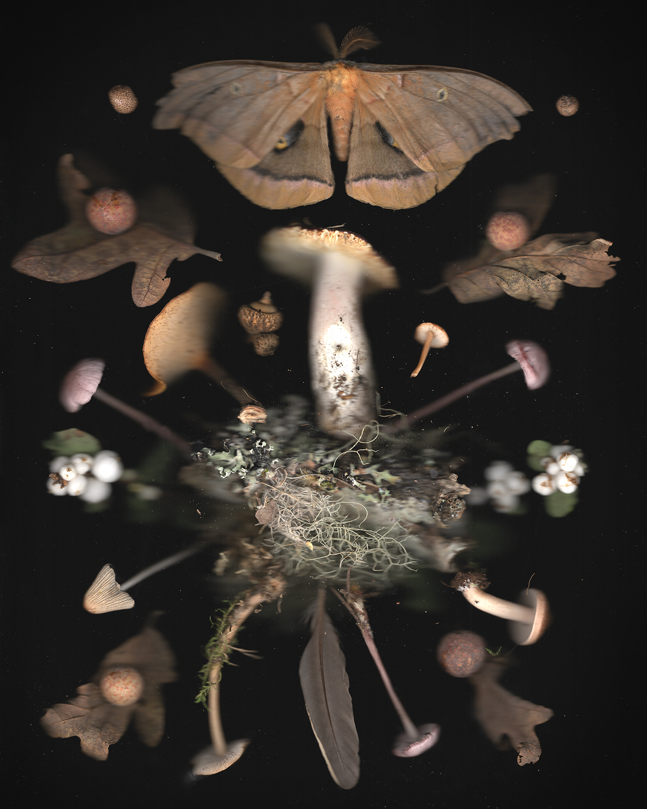 Rainier October 2024 web