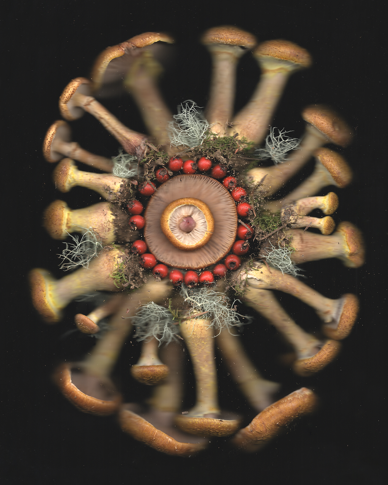 Tenino October 2024 web